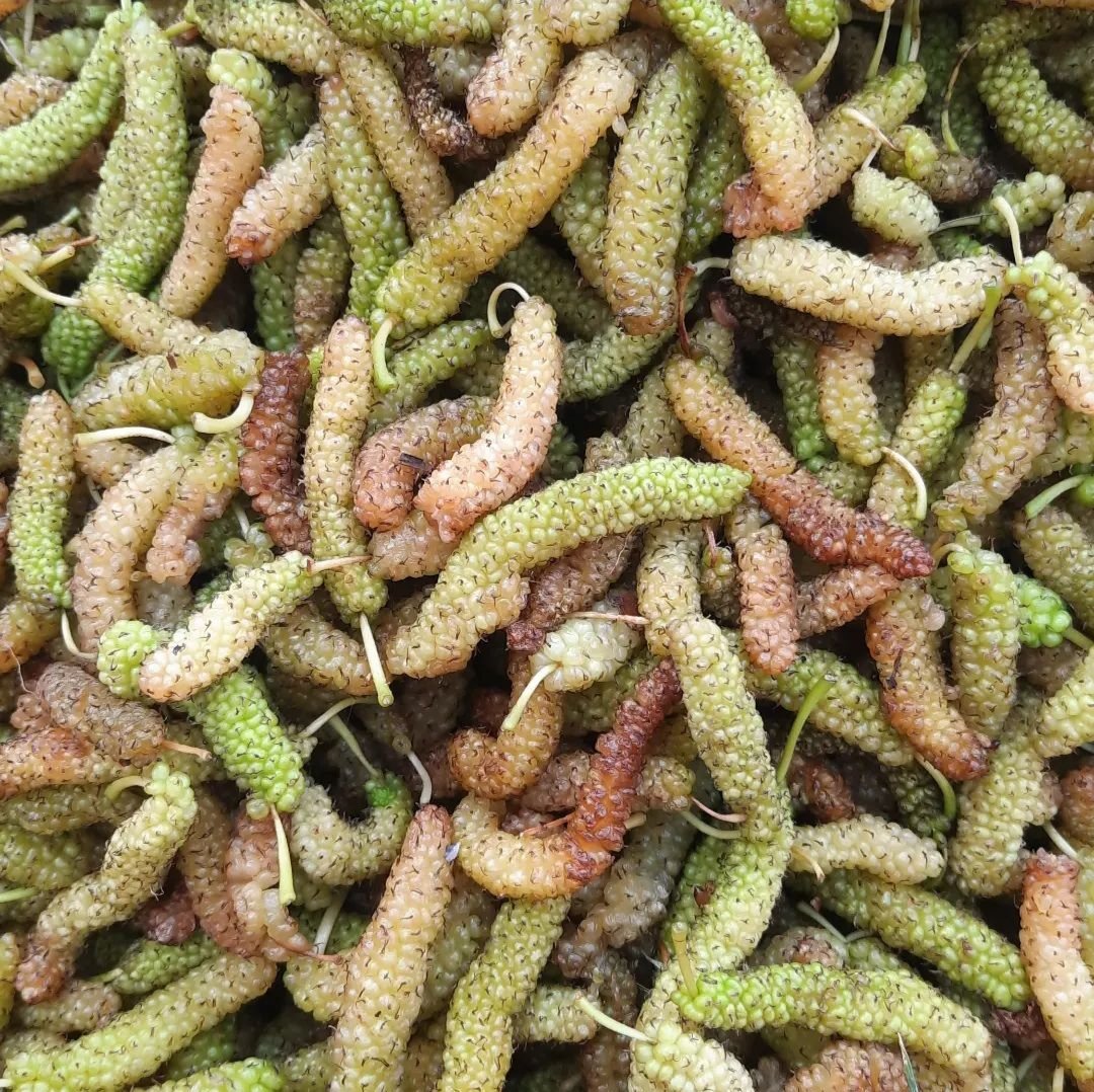 10 Fruits that remind us of our Childhood Memories 1. Ber - Thread from ...