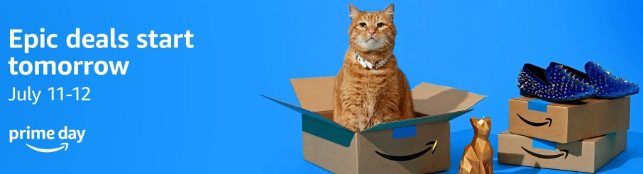 Lbabinz 🇨🇦 on Twitter: "Reminder: Amazon Prime Day 2023 starts overnight tonight (July 11 12am ...