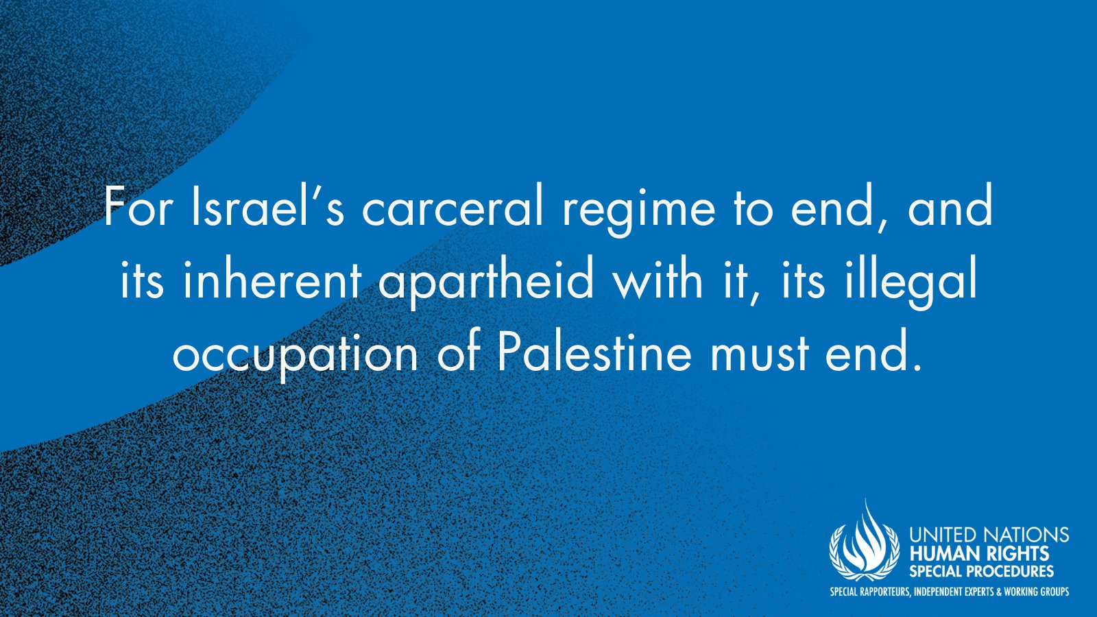 UN Special Procedures on Twitter: UN Special Procedures on Twitter: