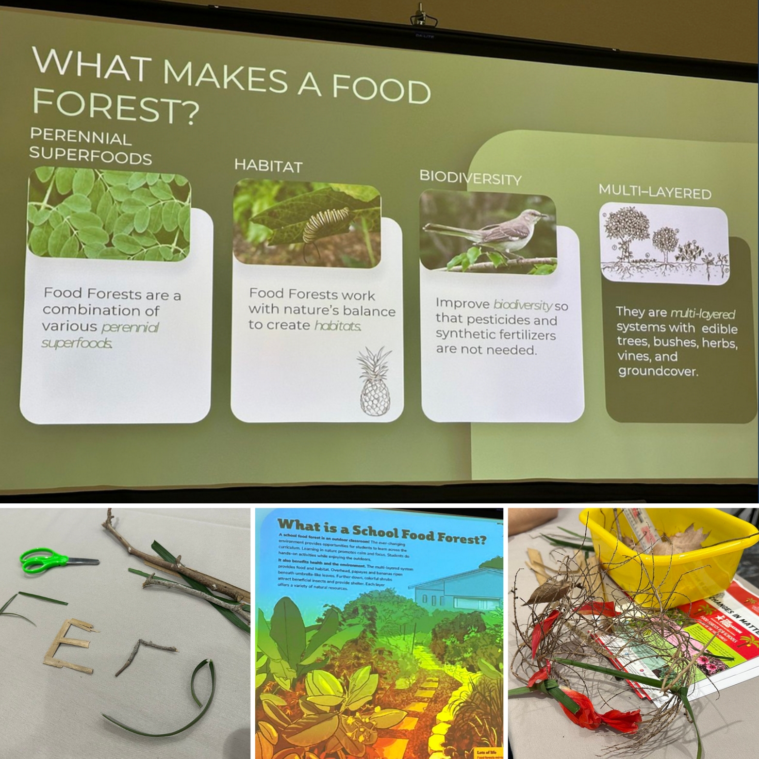 The Education Fund on Twitter: "Food forests for thought? Students aren ...