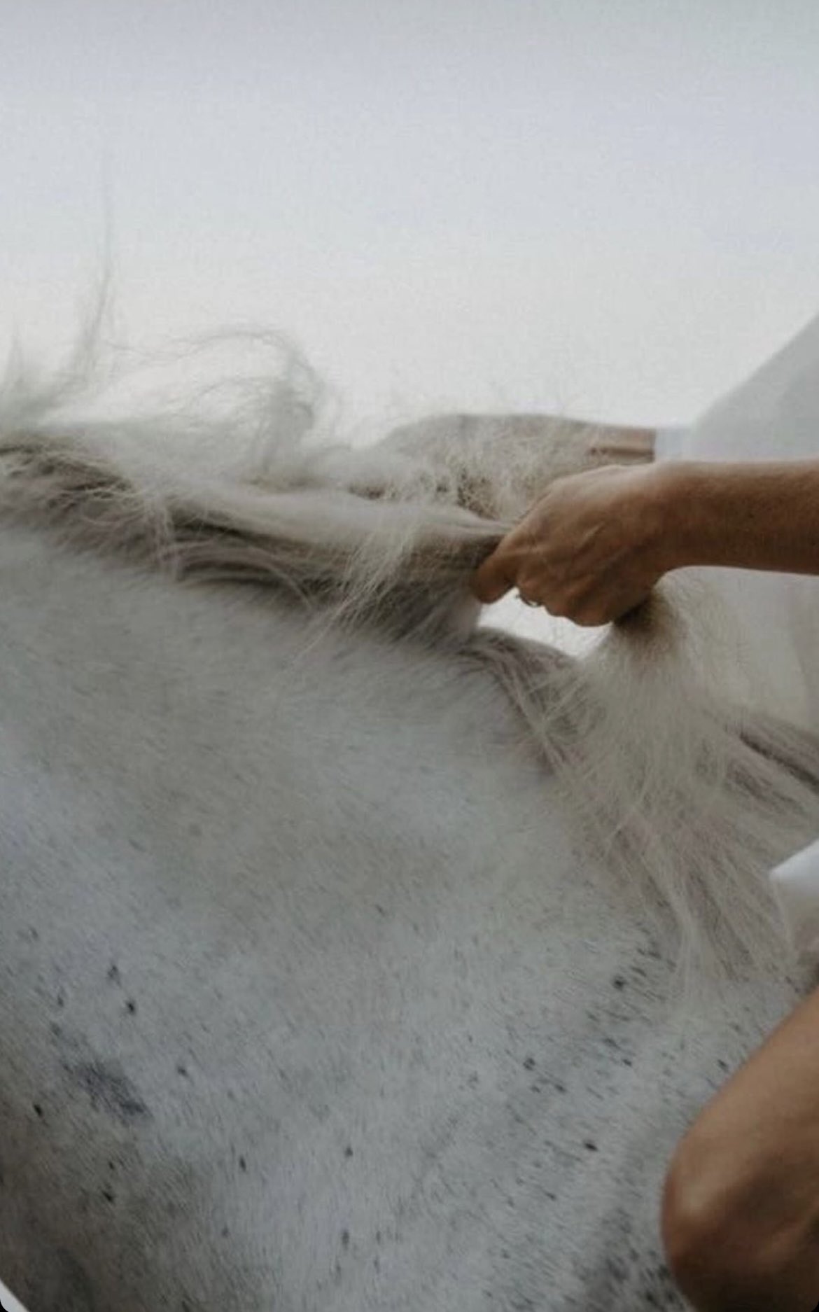 Orphic Inscendence on Twitter: " https://t.co/OsG3En6T9i" / Twitter