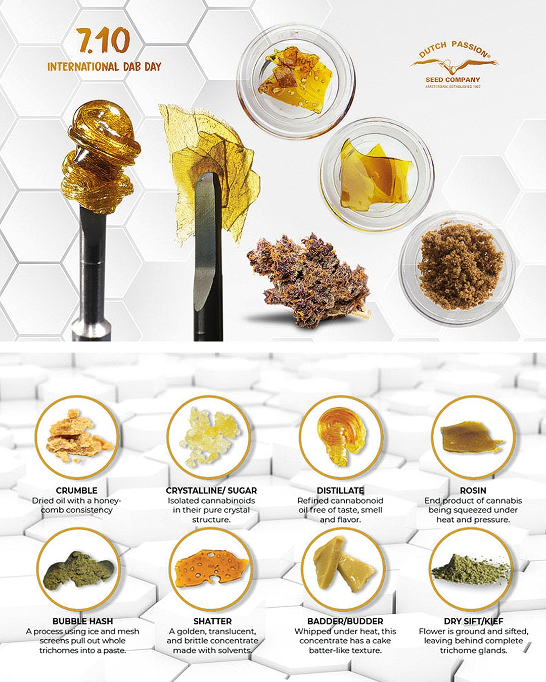 Dutch Passion on Twitter: "Happy international dab day! 💛 In more recent years 7/10 is gaining ...