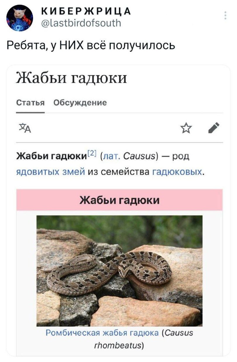 Фусина территория 🇮🇱 🐾 On Twitter Ебала жаба гадюку Labian ⬇️