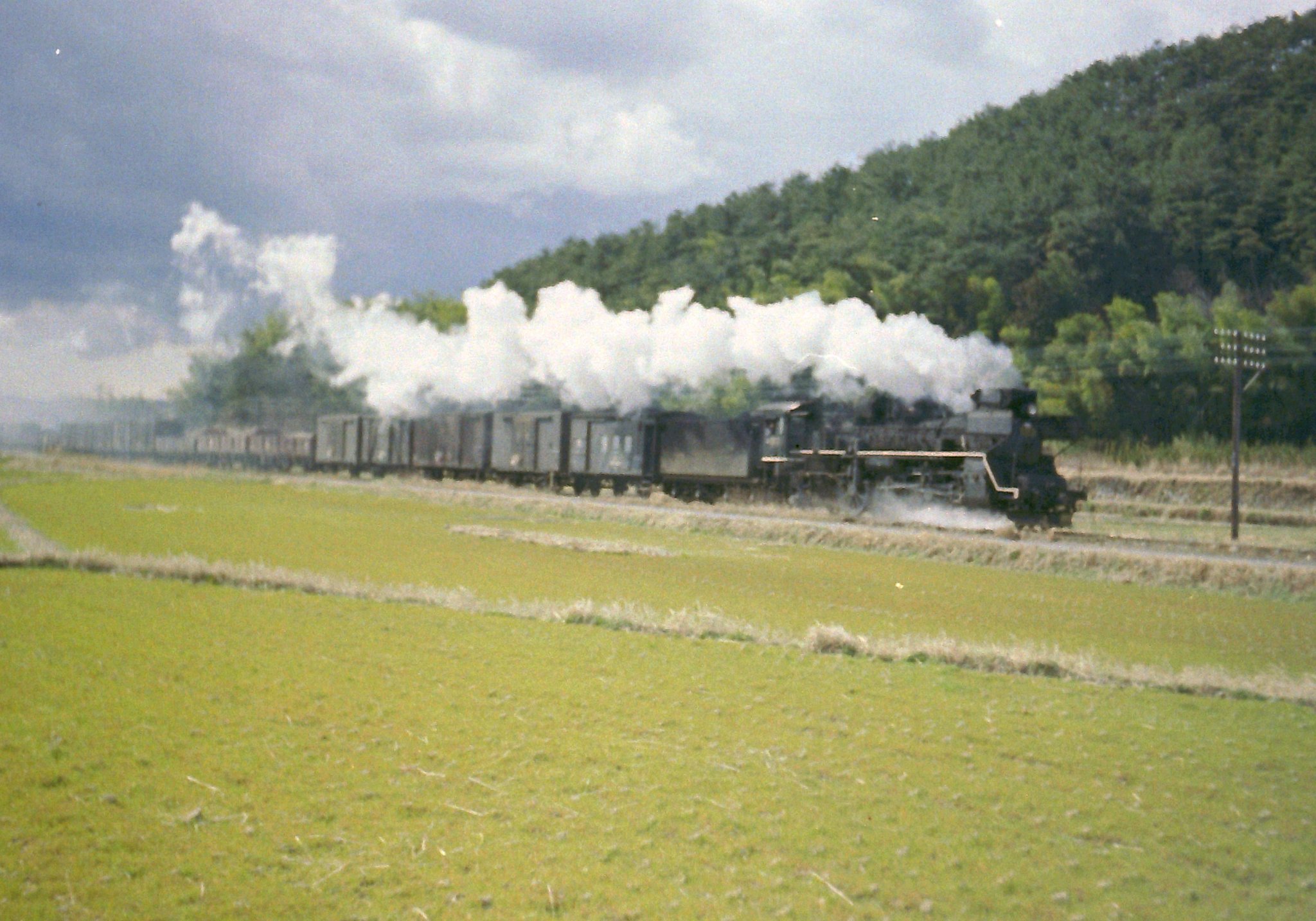 D511007 on Twitter: "日付ネタ。令和5年7月11日。播但線の福崎〜甘地。C5711。かもめ専用機だっけ?集煙装置、重油併燃装置が付いちゃったけど贅沢は言いません。 #播但線 ...