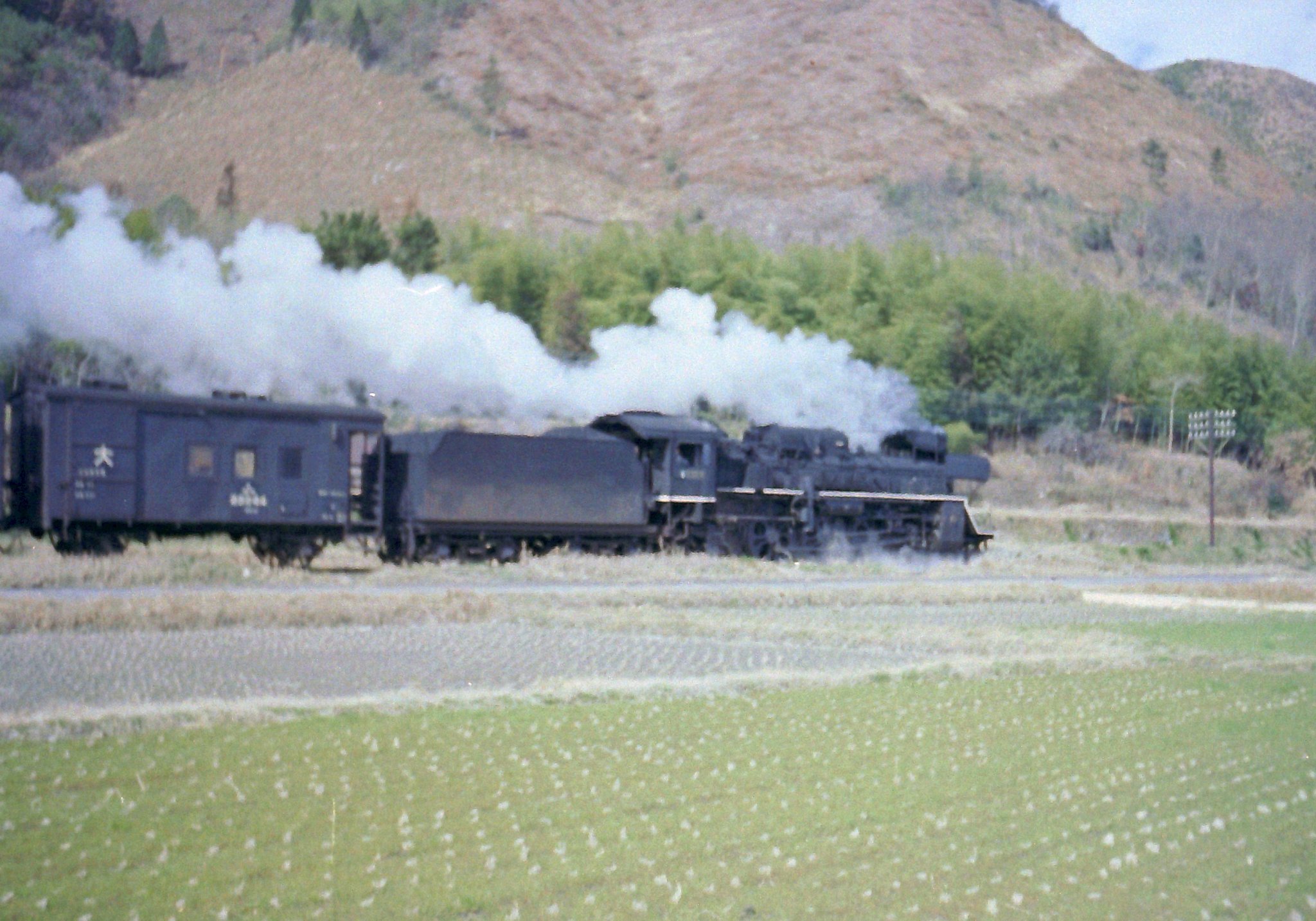 D511007 on Twitter: "日付ネタ。令和5年7月11日。播但線の福崎〜甘地。C5711。かもめ専用機だっけ?集煙装置、重油併燃装置が付いちゃったけど贅沢は言いません。 #播但線 ...