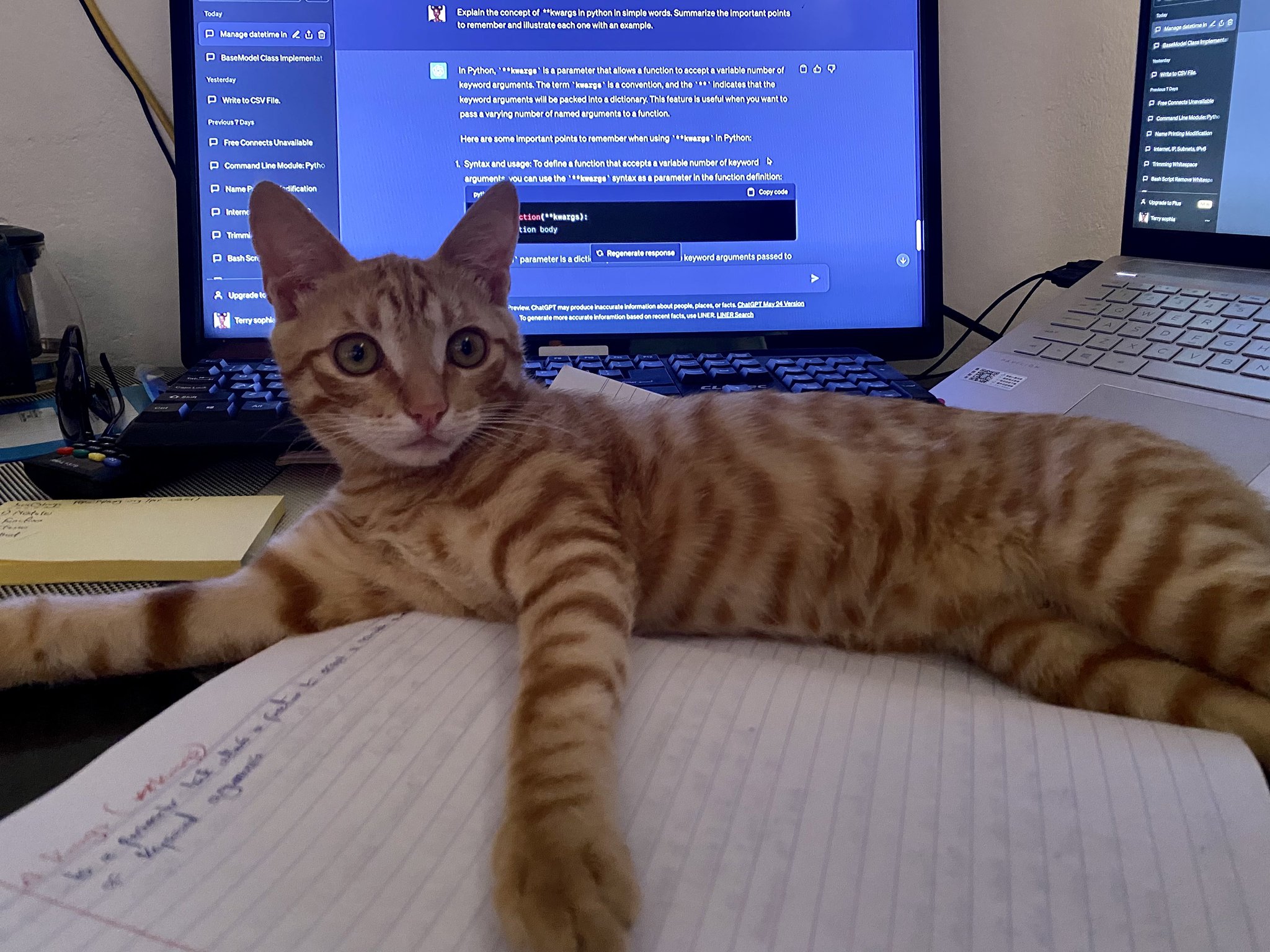 Sophia 小花🇰🇪 on Twitter: "Day 79 of my #100DaysOfCode is day one of the AirBnB clone - The ...