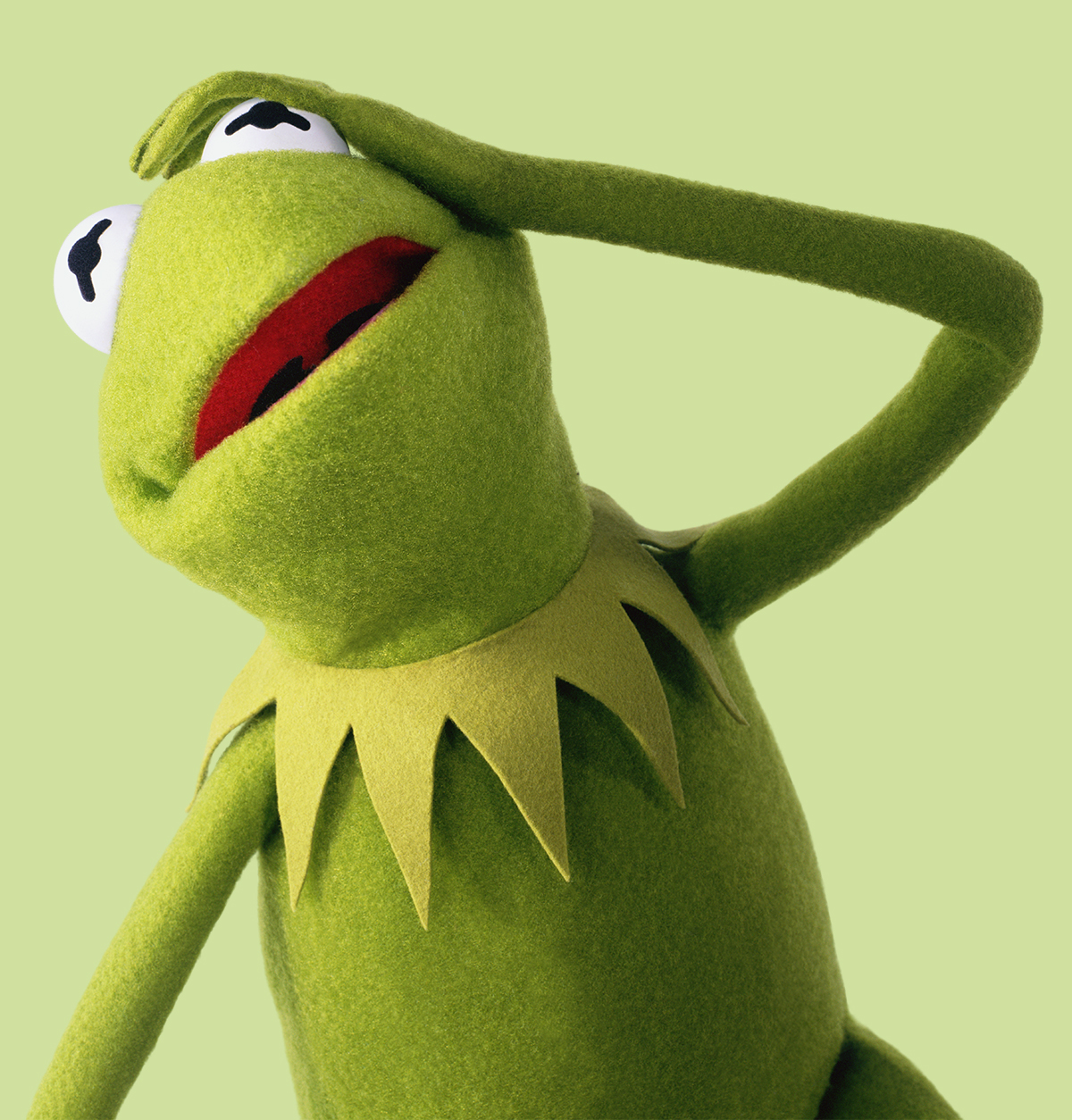 Kermit The Frog Meme Face