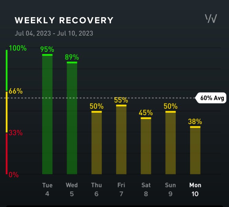 Leah Prime ๐ฆ On Twitter My Recovery Took A Dive Last Week And Isnt Recovering Despite
