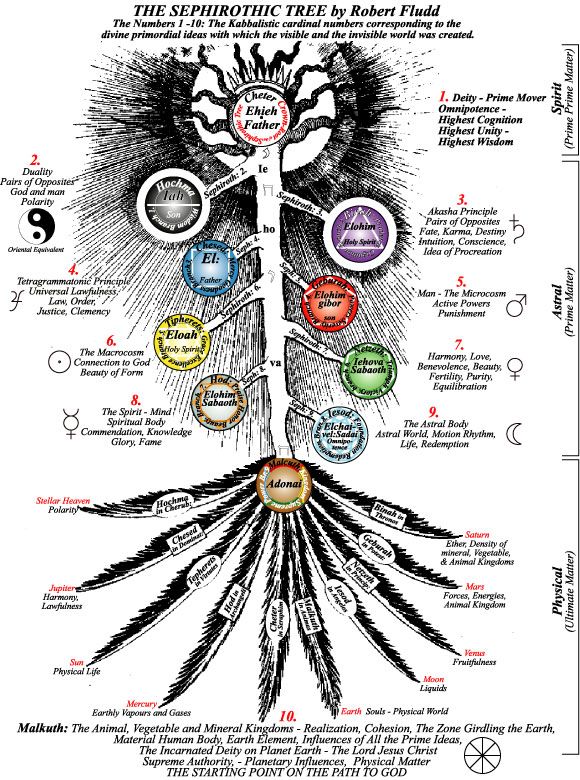 The Great "Trees" in the Body of Man🧵 Manly P. Hall said, "There are ...