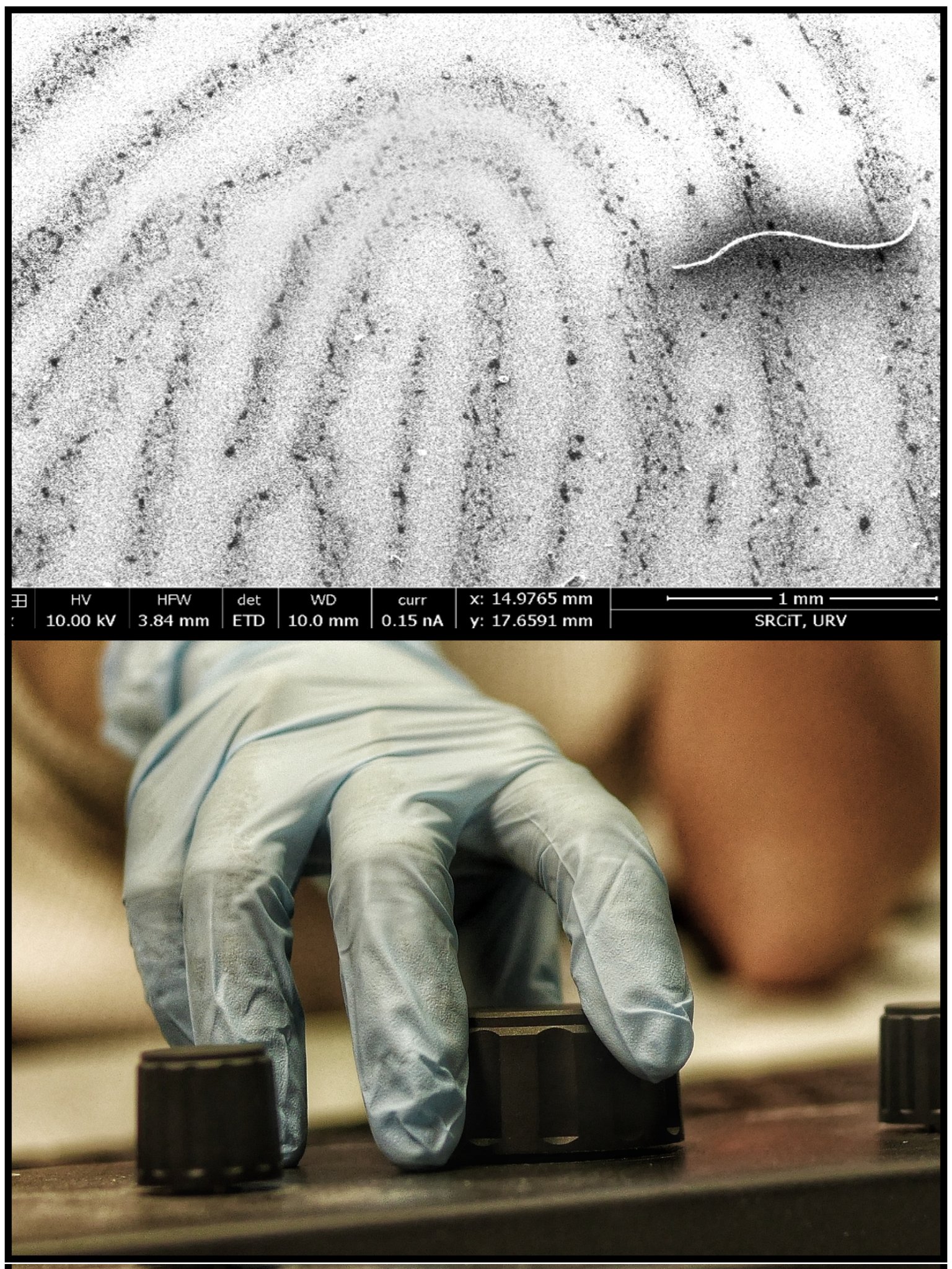 SerScience on Twitter: "Today we continue the study of fingerprints ...