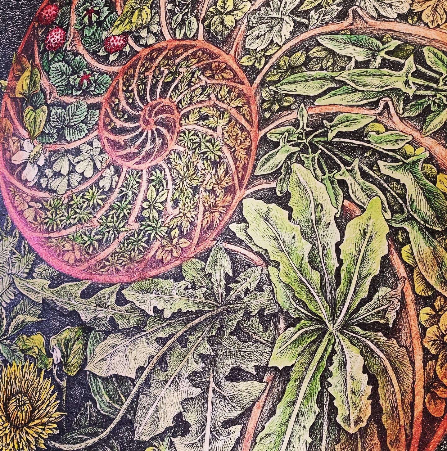 kaori tsuvokawa on Twitter: "コツコツと、黙々と、描いております。 KAORI TSUVOKAWA SOLO EXHIBITION 「HATCHING」 2023. ...