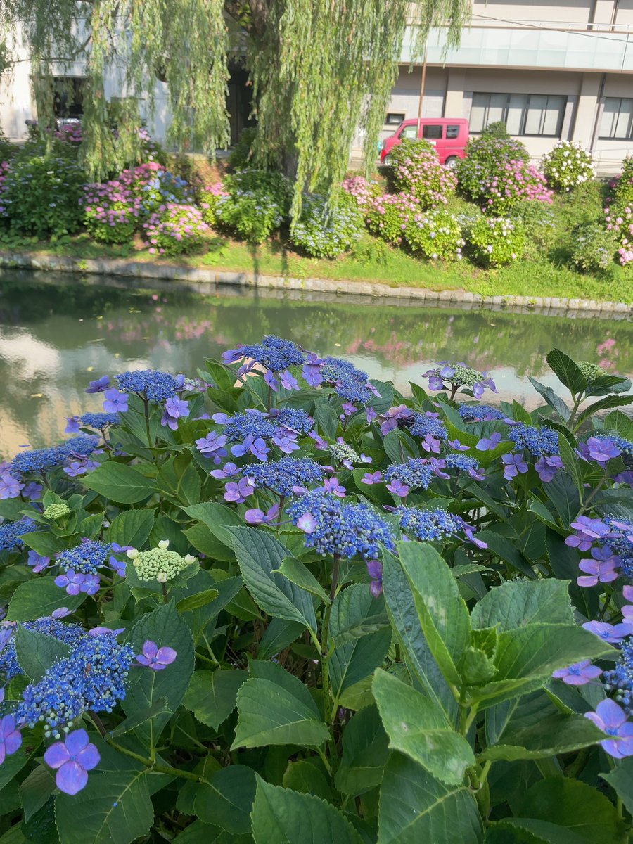 𝕟𝕪𝕠𝕣𝕠𝕣𝕠(@nyororo) - Twilog