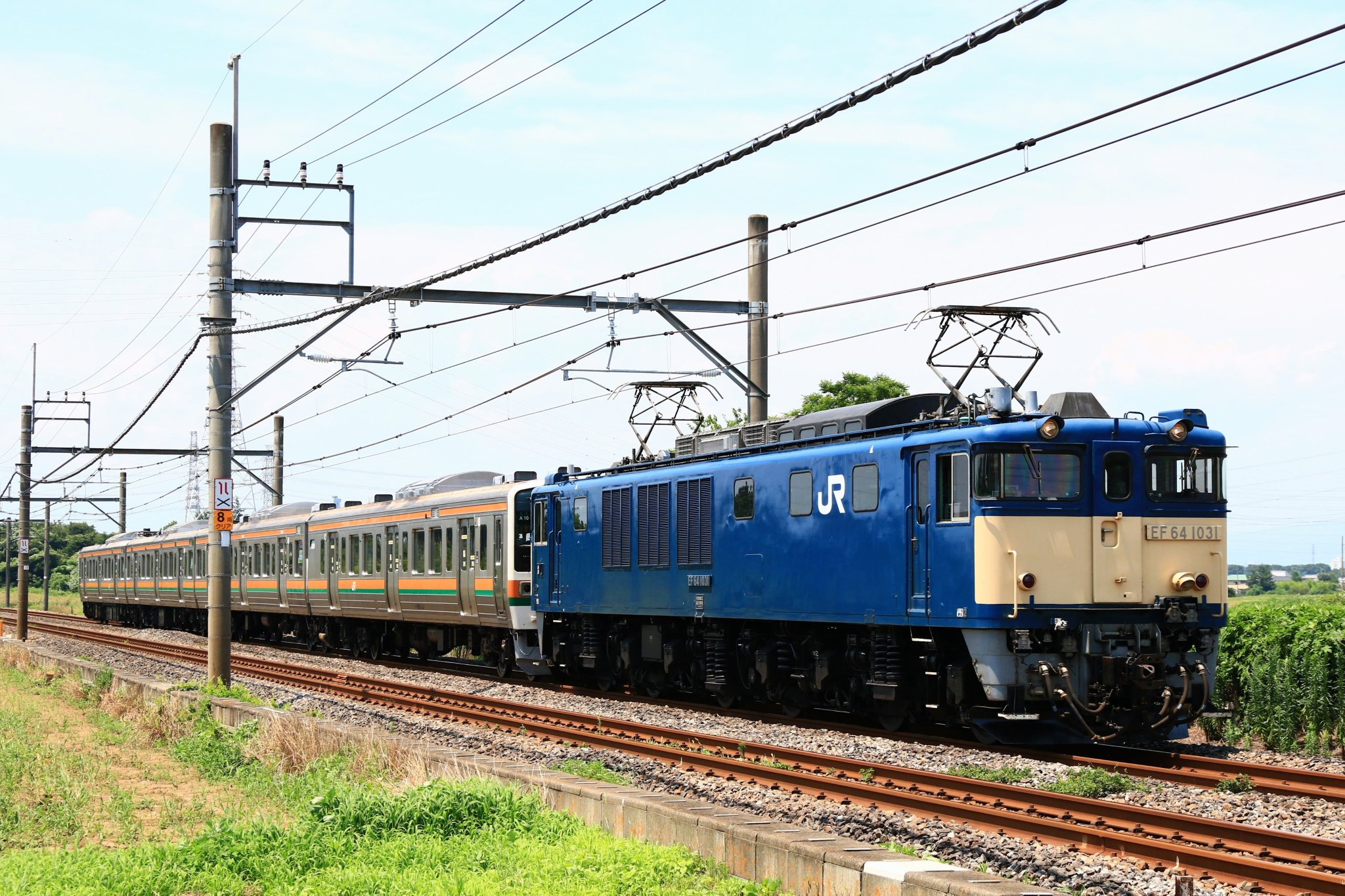 赤い釜大好き・81さん on Twitter: "7/11・・長野へ 廃車配給 配9832ﾚ EF64-1031＋新前橋211系×4B(A10編成) https://t.co ...