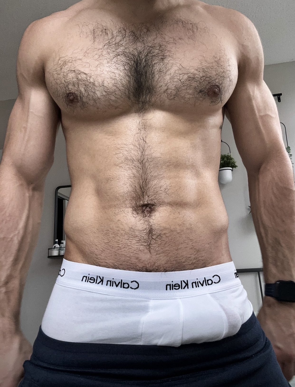 SILVERBACK on Twitter: "#Silverback https://t.co/jZaJKx83rS" / Twitter