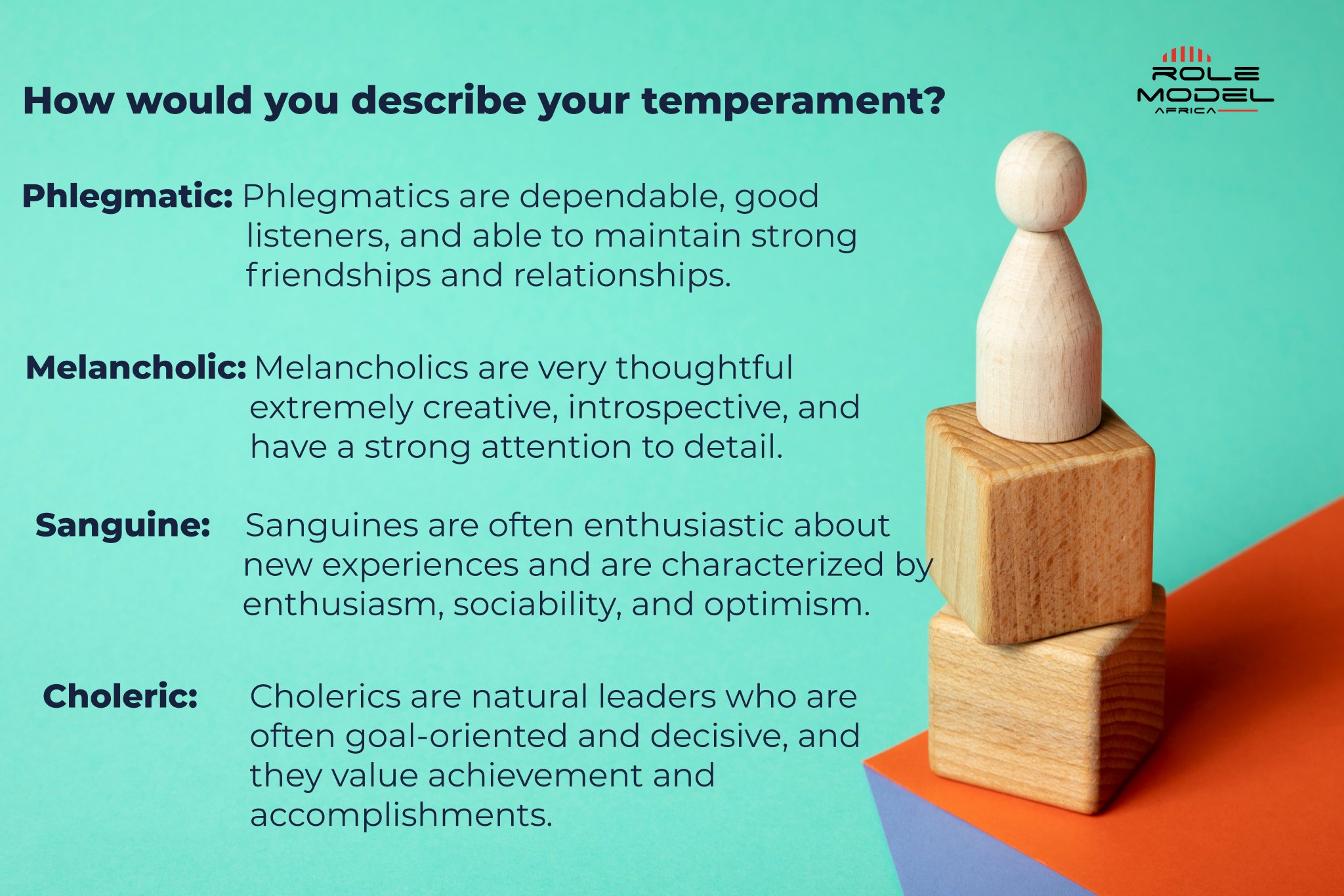 Role Model Africa on Twitter: "Understanding temperament in the workplace leads to better ...