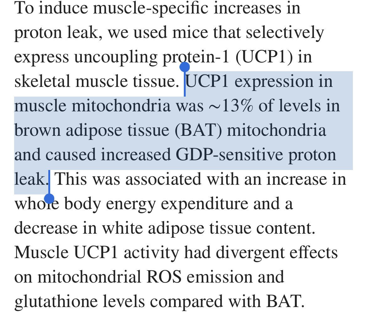 Want to lose fat while maintaining your muscle? Uncouple yourself. We ...