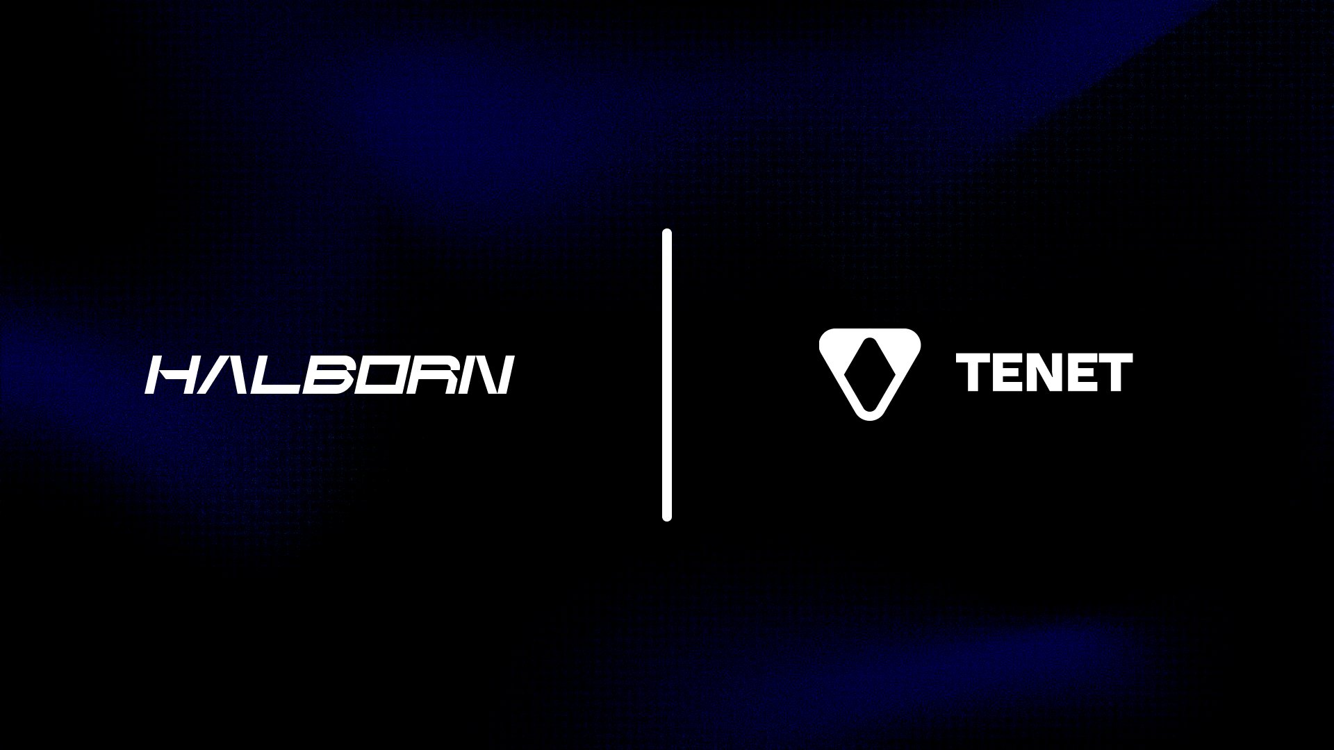 Tenet Protocol on Twitter: "Tenet has established a partnership with @HalbornSecurity ...