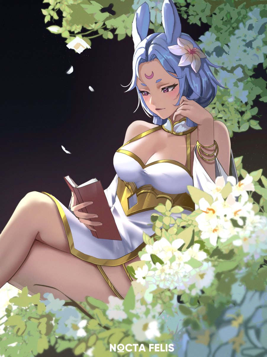 Nocta Felis 🌙 Commissions: open on Twitter: "Hi #PortfolioDay ! I'm Nocta, a freelance artist ...