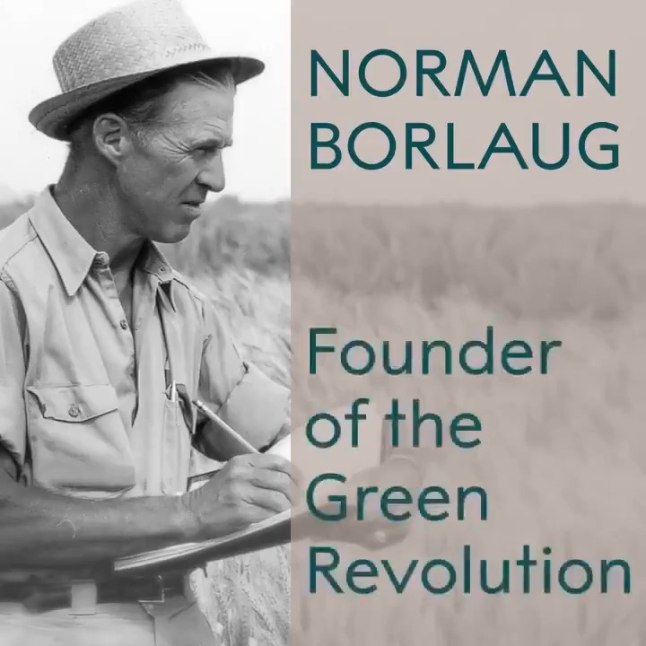 The Nobel Prize on Twitter: ""The founder of the Green Revolution ...