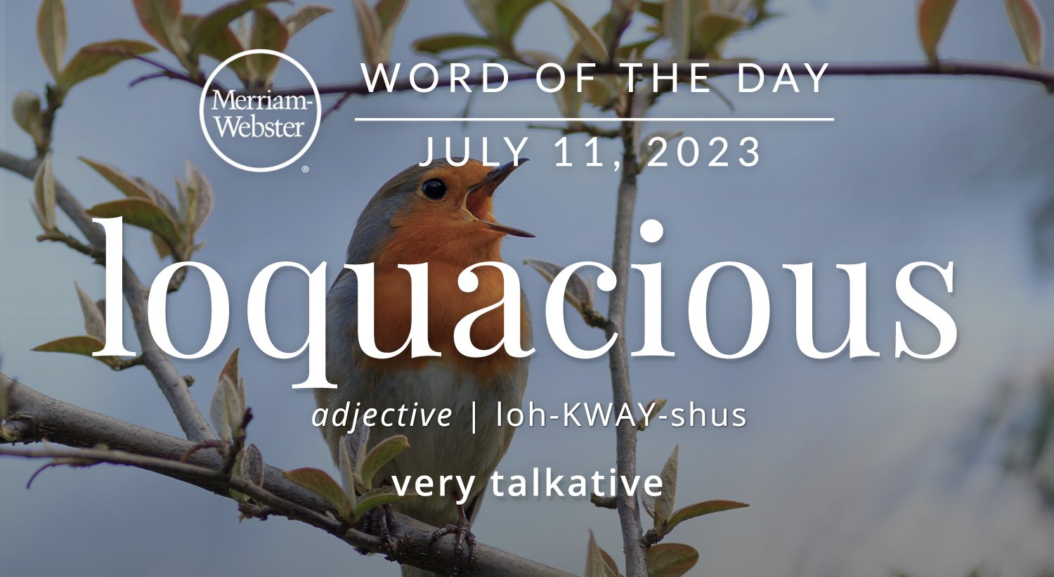 Loquacious Quotes