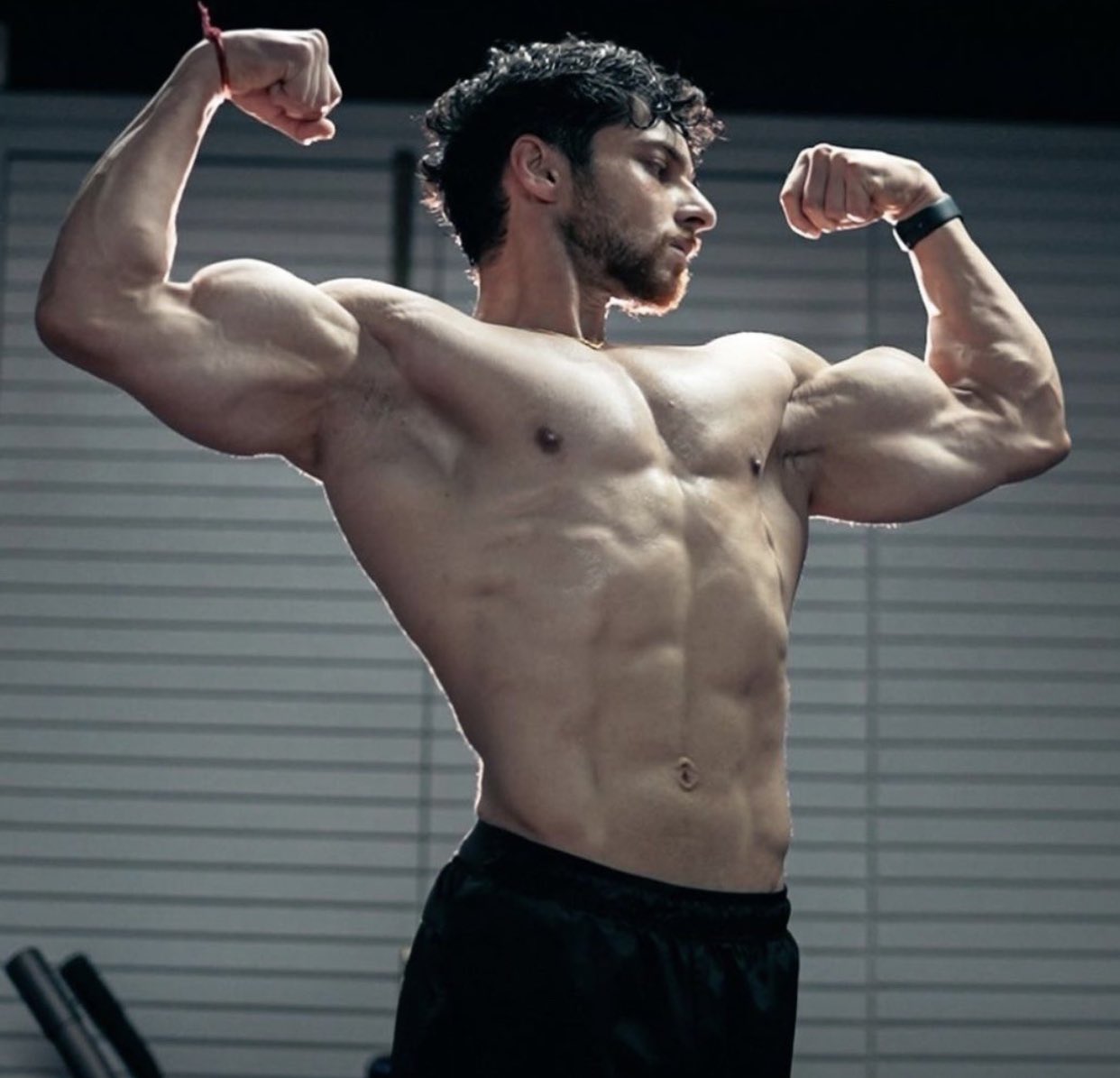 SILVERBACK on Twitter: "#Silverback https://t.co/YzZQ3FiX5r" / Twitter