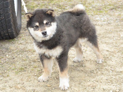 凛々奏hip103cm(@ohshiri2ki) さんの裏垢画像・動画 – 裏垢女子ランキングナビ