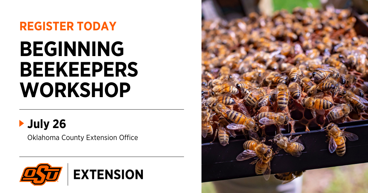 OSU DASNR on Twitter: "Registration for the Beginning Beekeepers Workshop is now open! 🐝 OSU ...