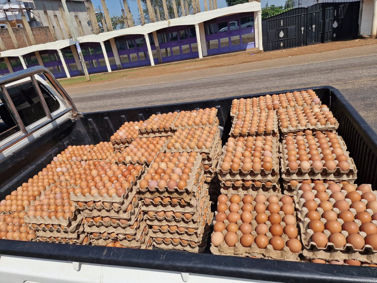 One of the best decisions of my life is quitting medicine to pursue ...