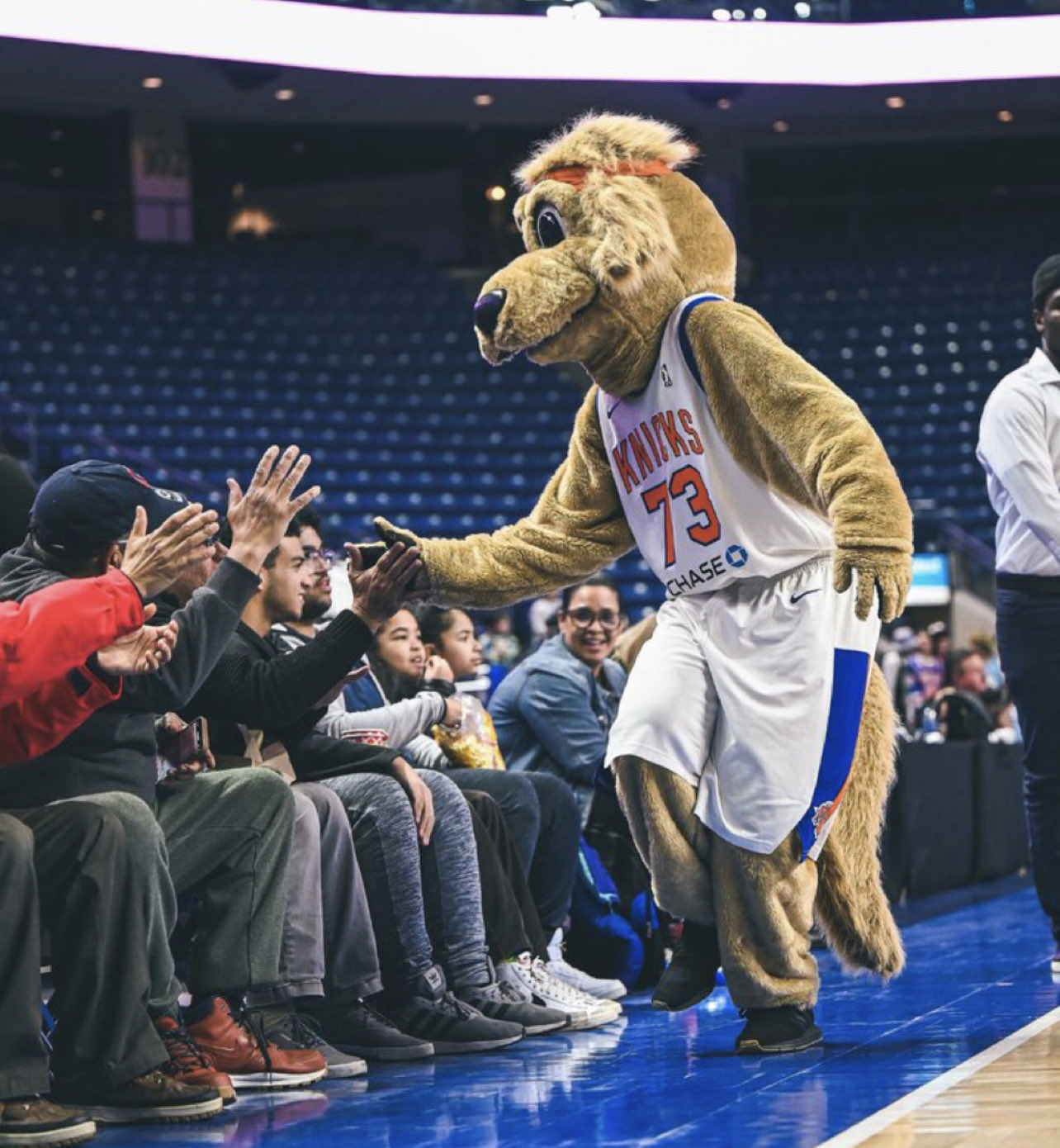 Knicks Mascot With The Westchester @New York Knicks Mascot 🐶🏀 At