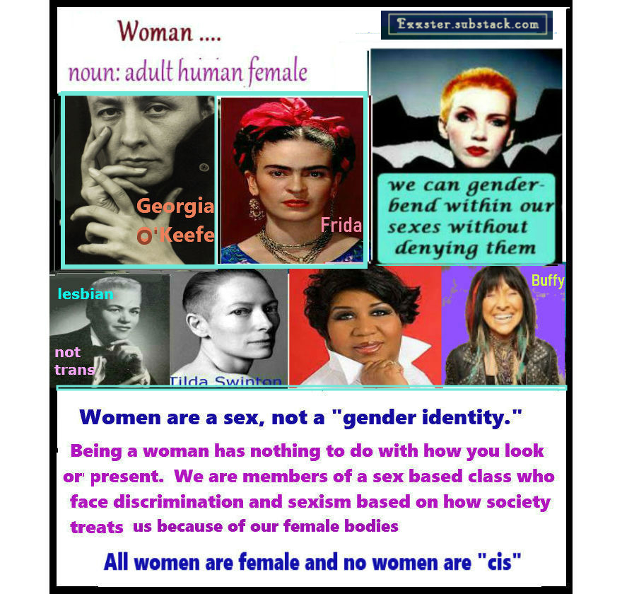 Rejecting Gender Ideology With Typos On Twitter Martina Mpinoe