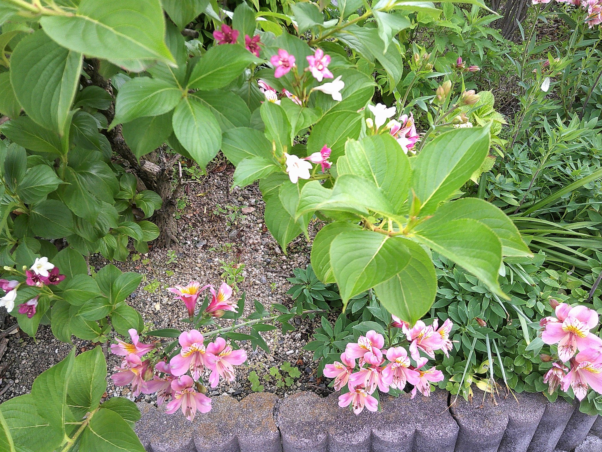 まつひで on Twitter: "おはようございま～す🥱 今日は朝から私用があるため AM7:00 には ツイッターから離れたいと思っています😊 それまで今日もよろしくお願いしま～す🤗 ...