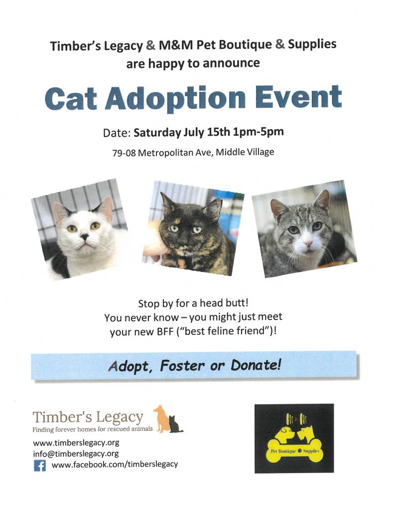 Robert Holden on Twitter: "Adopt, don't shop! Take a look at this flyer for a Cat Adoption Event ...