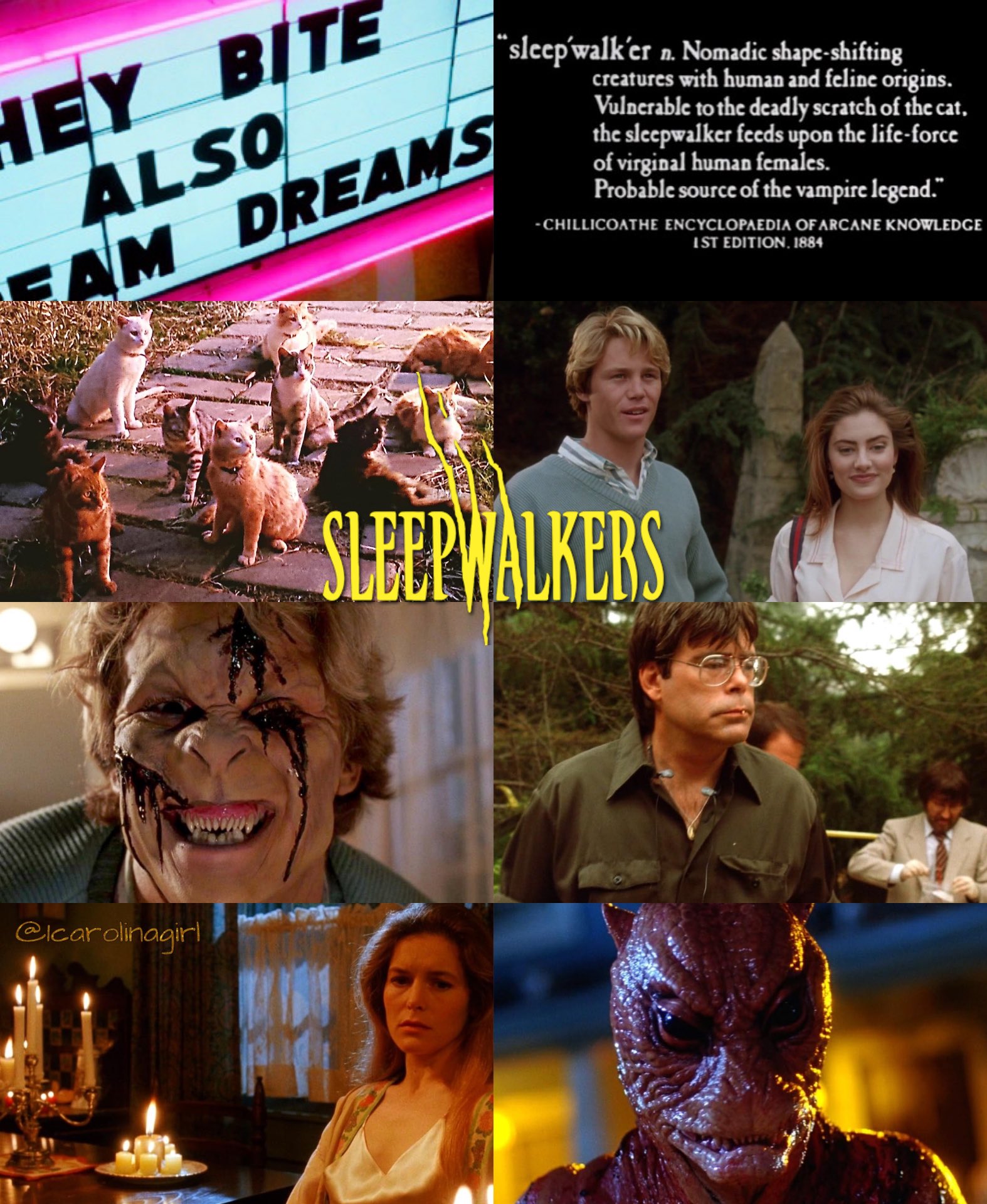 🔪🔪Jeanne Loves Horror🔪🔪 on Twitter: "Stephen Kings’s Sleepwalkers (1992)💀🎬 https://t.co ...