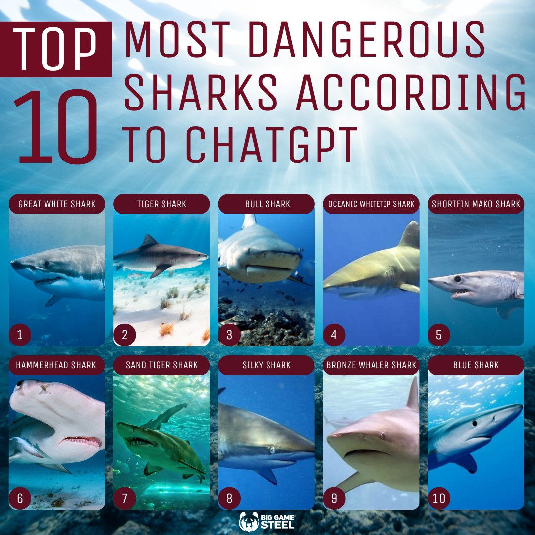 Top 10 Deadliest Sharks