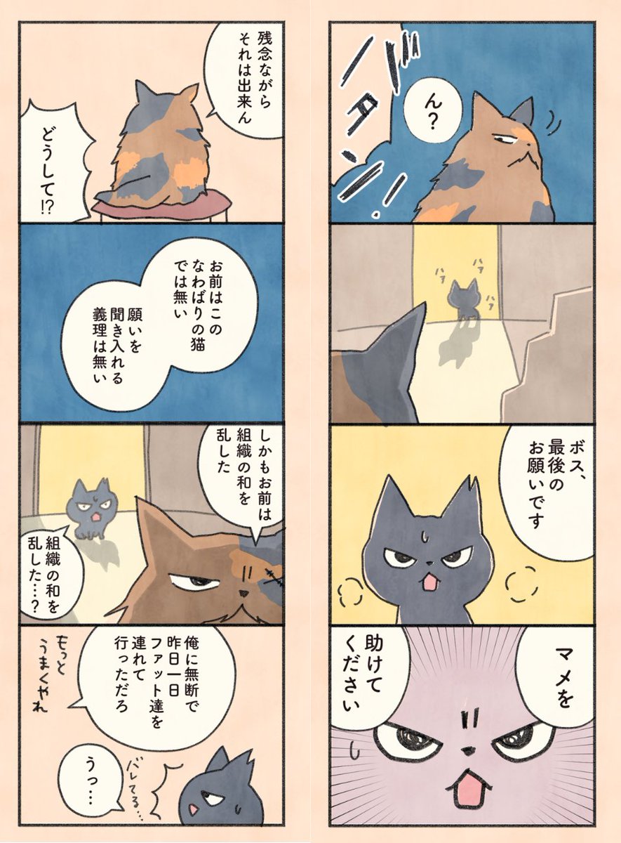 猫と飼い主をつなぐ、"もしも"と"まさか"の物語。