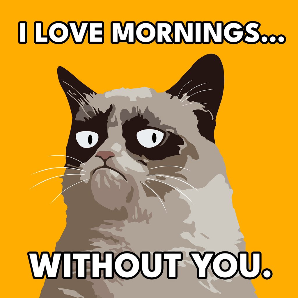 Grumpy Cat Good Morning Meme
