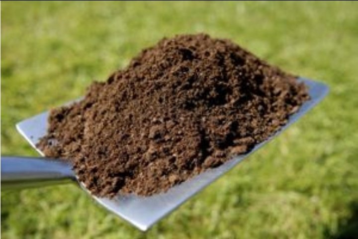 UMQUBA vs UBULONGWE vs UMLOTHA: Bhuti waphupha nje. . . 1. Umquba just ...