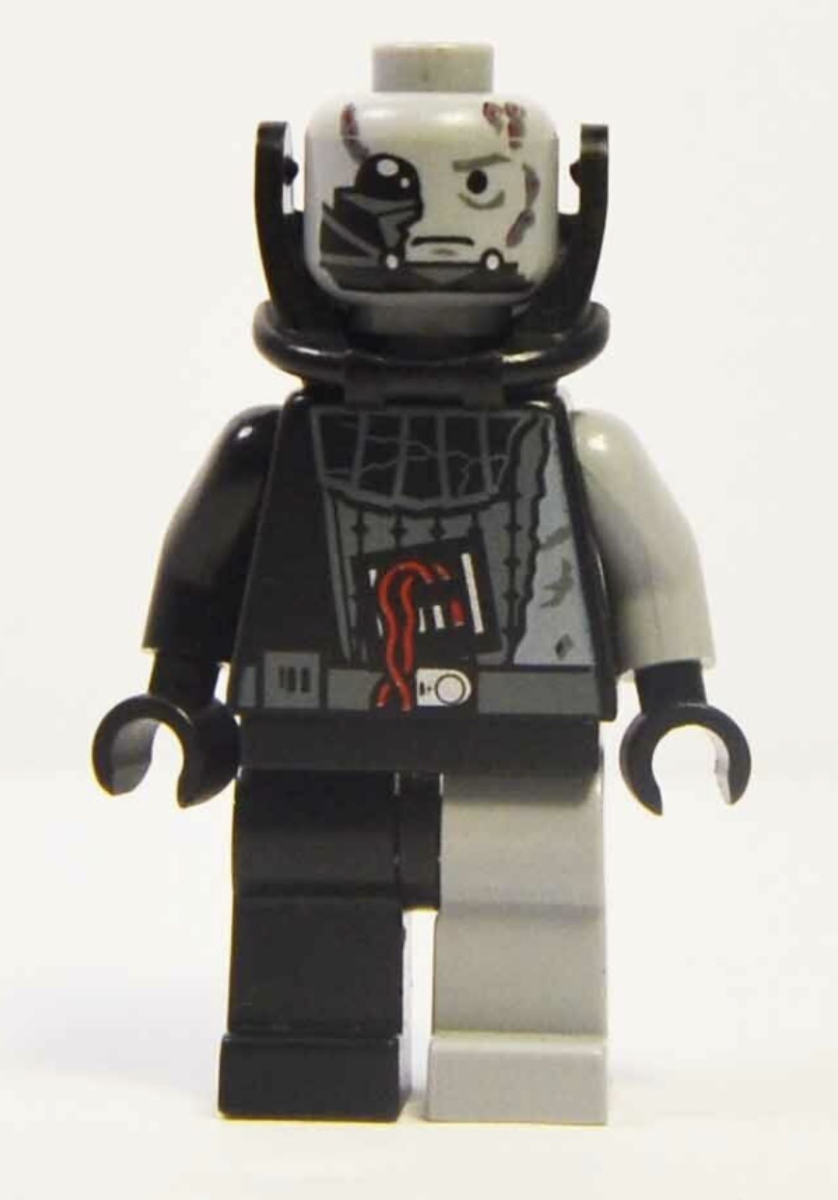 Worlds Coolest Lego Man