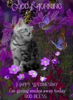 Happy Wednesday Images With Cats