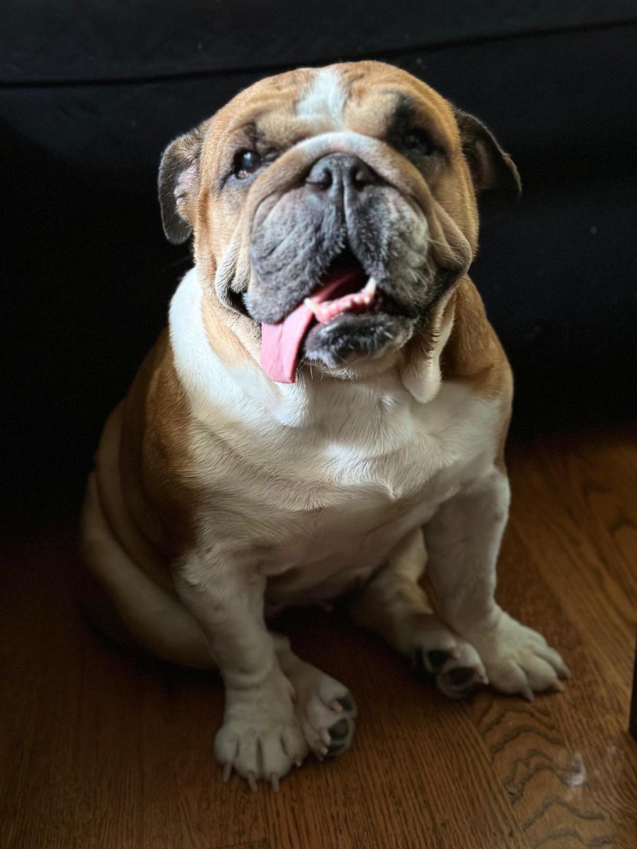 Nadia White, daughter of the devil on Twitter: "Have you ever seen an angel? Matilda post!!"