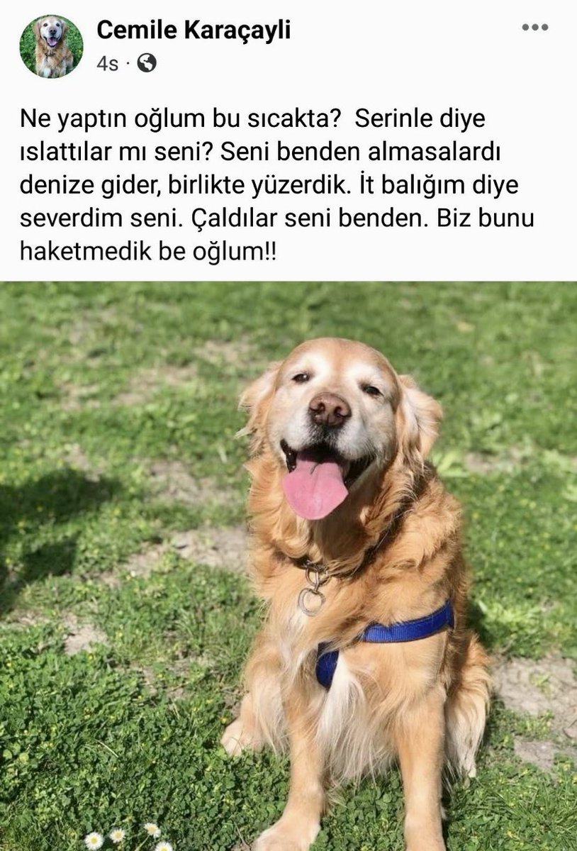 Badiko on Twitter: Badiko on Twitter: