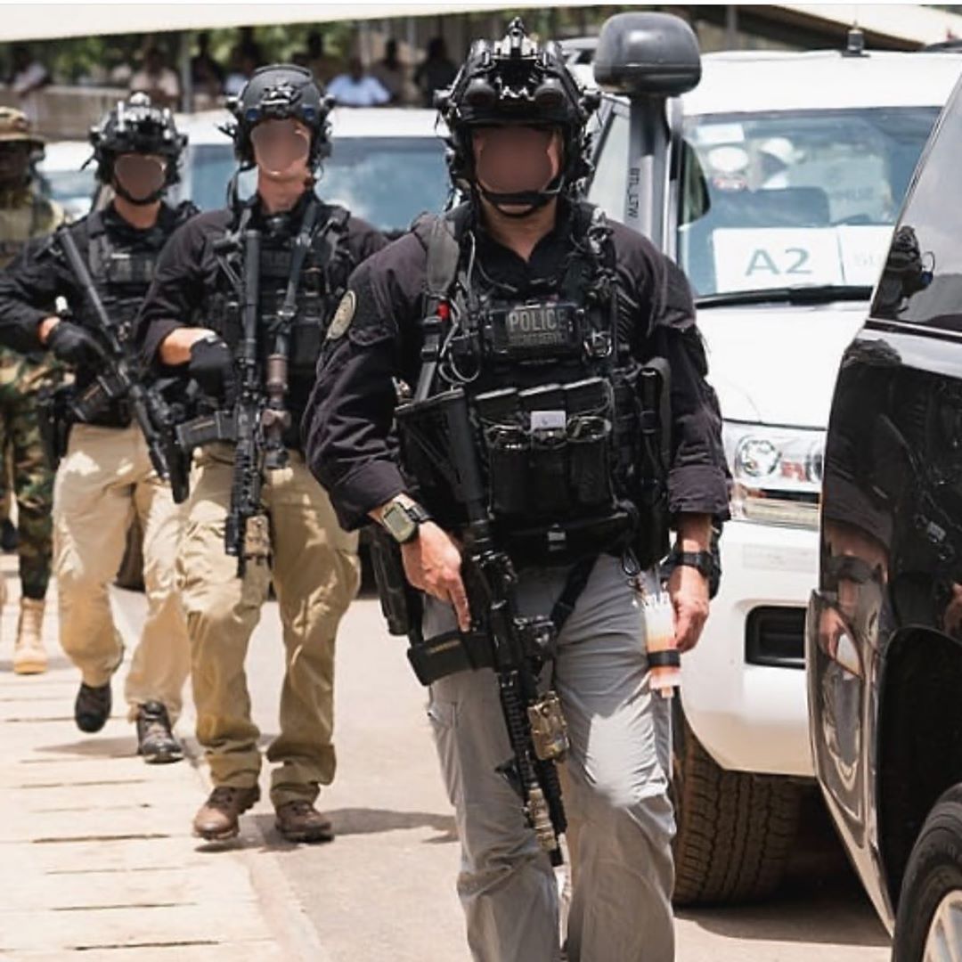 Secret Service Cat Team