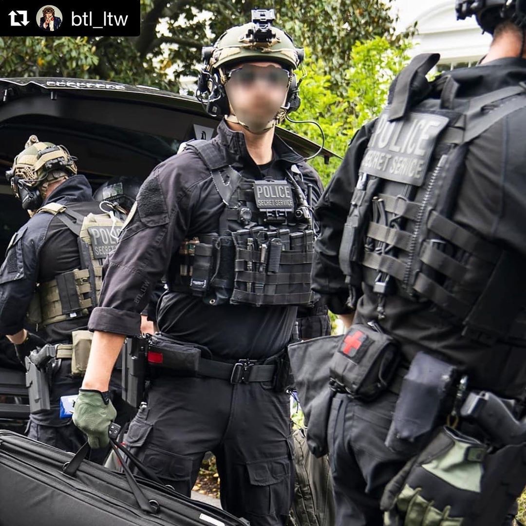 Secret Service Cat Team