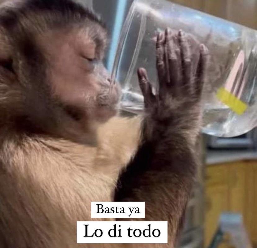 Basta Ya Meme