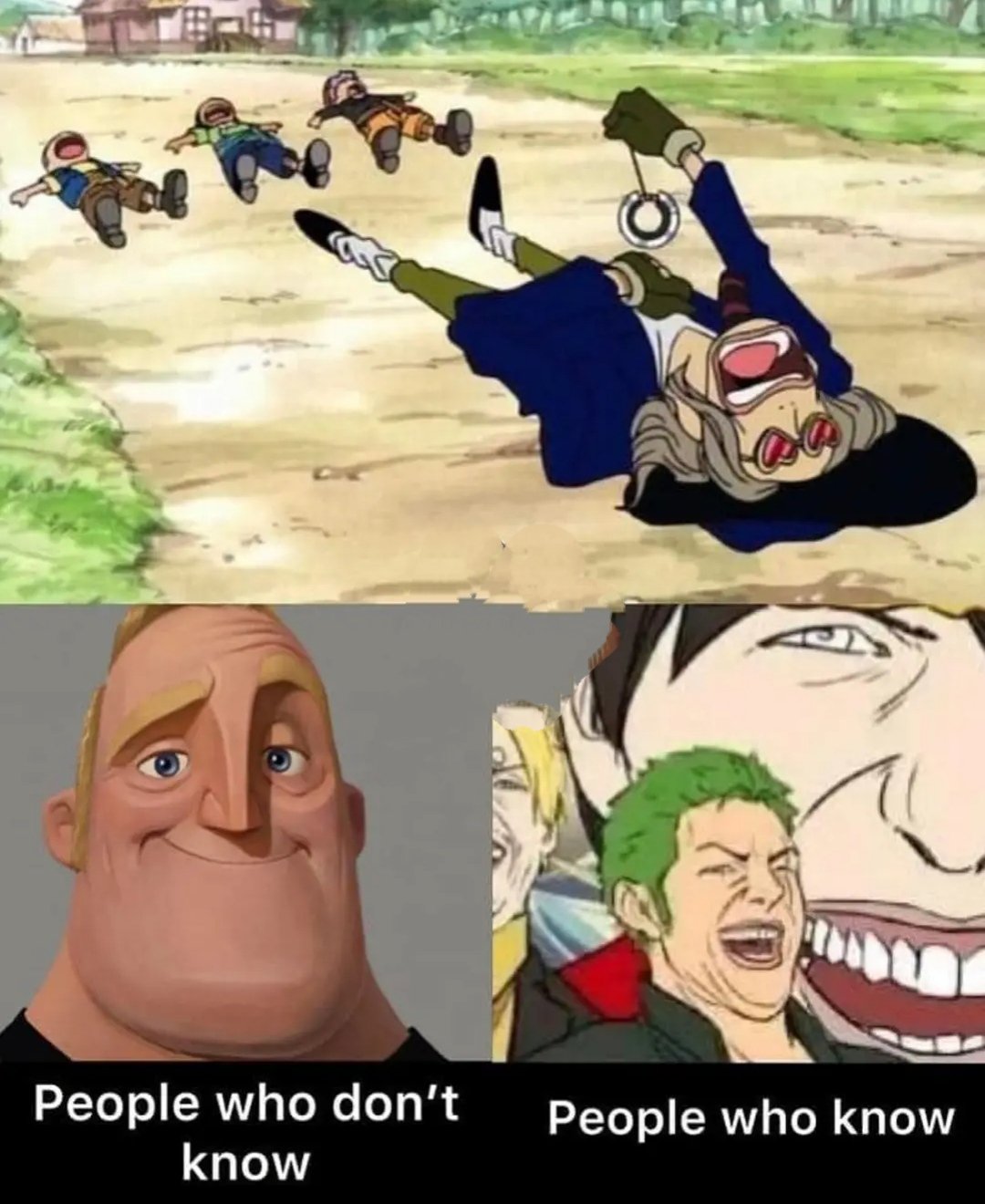 Funny One Piece Memes