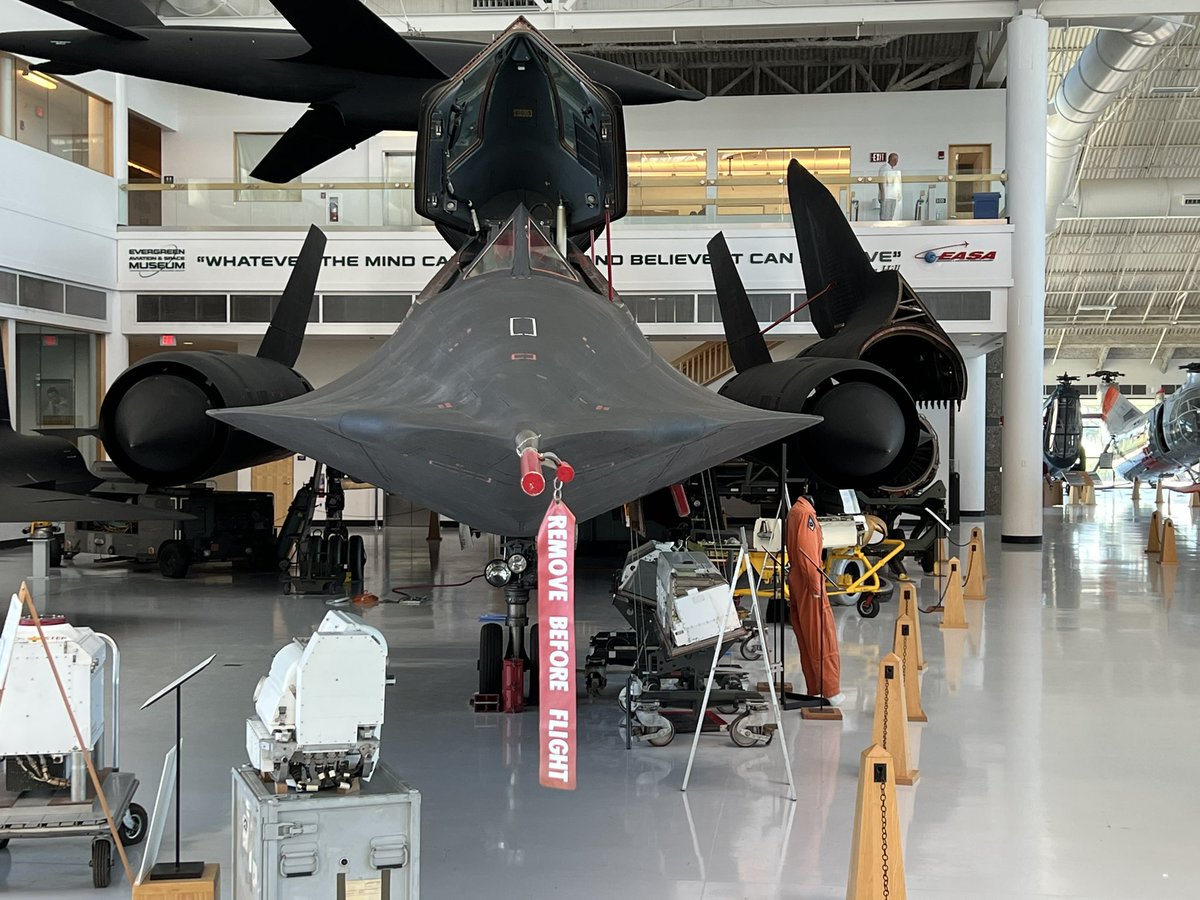 Zerin D on Twitter: "Blackbird!"