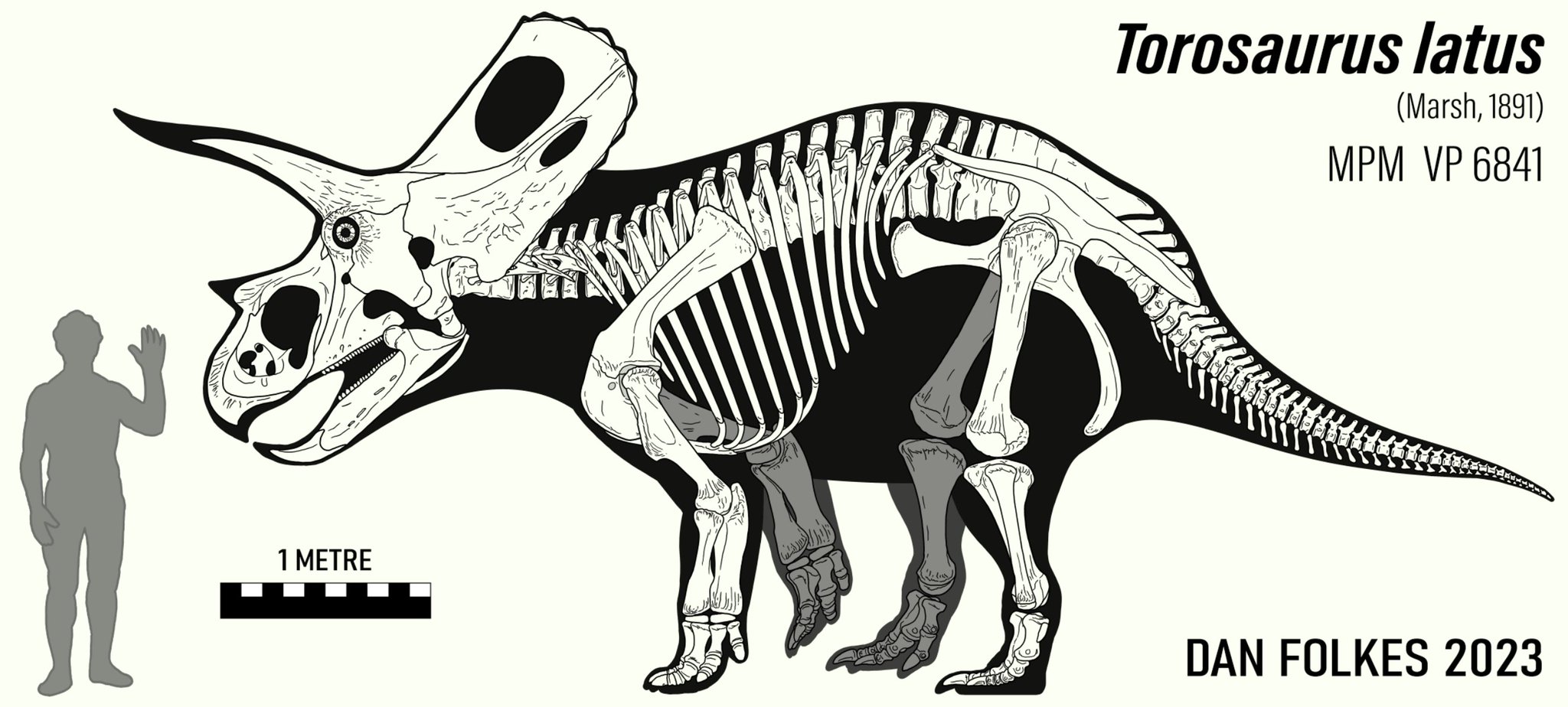Danosaurus En Phillion