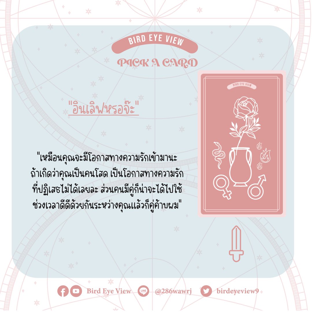 birdeyeview on Twitter: