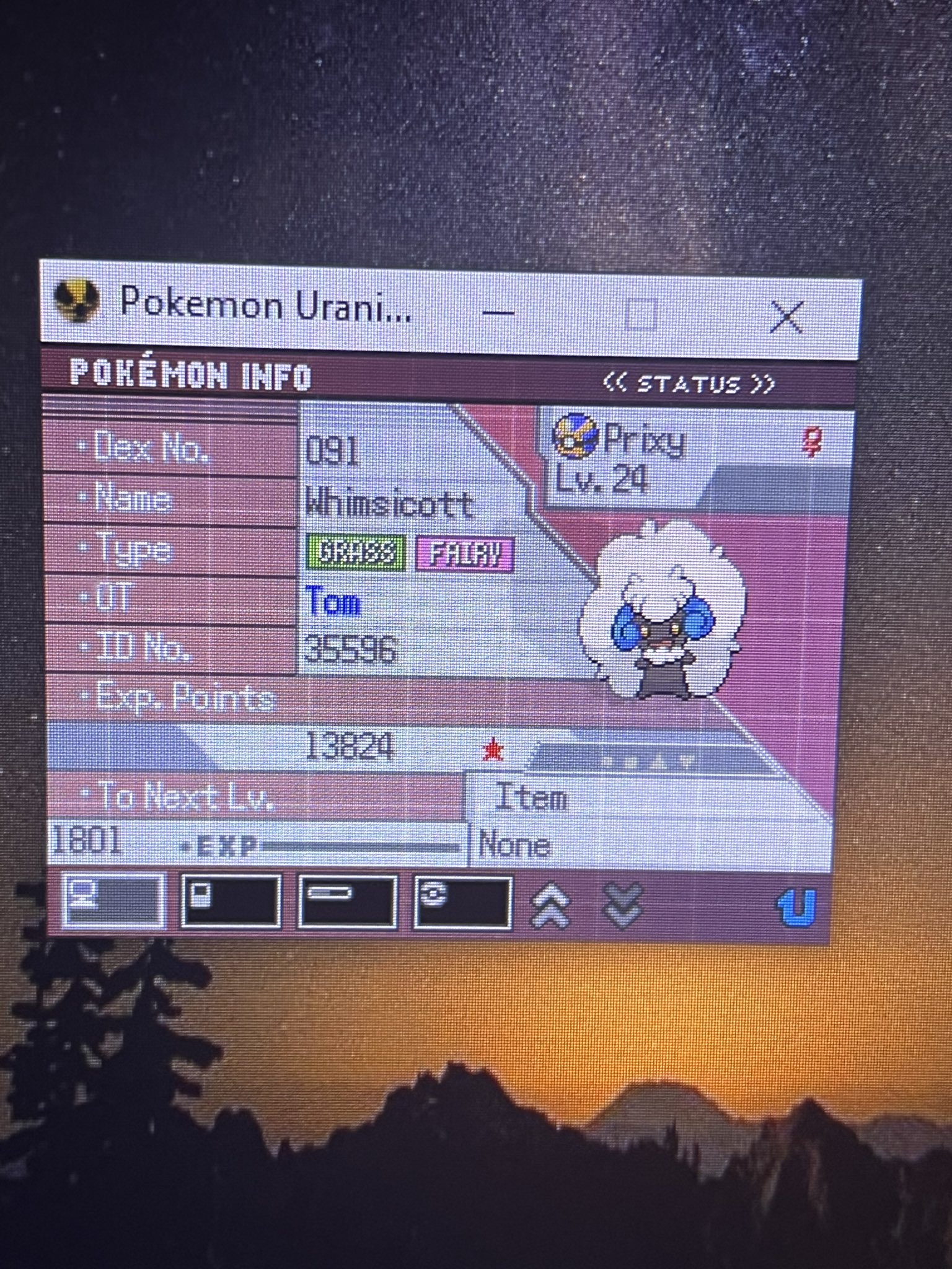 Tom on Twitter: "Shiny cottonee after 112 random encounters in uranium with shiny charm (this ...