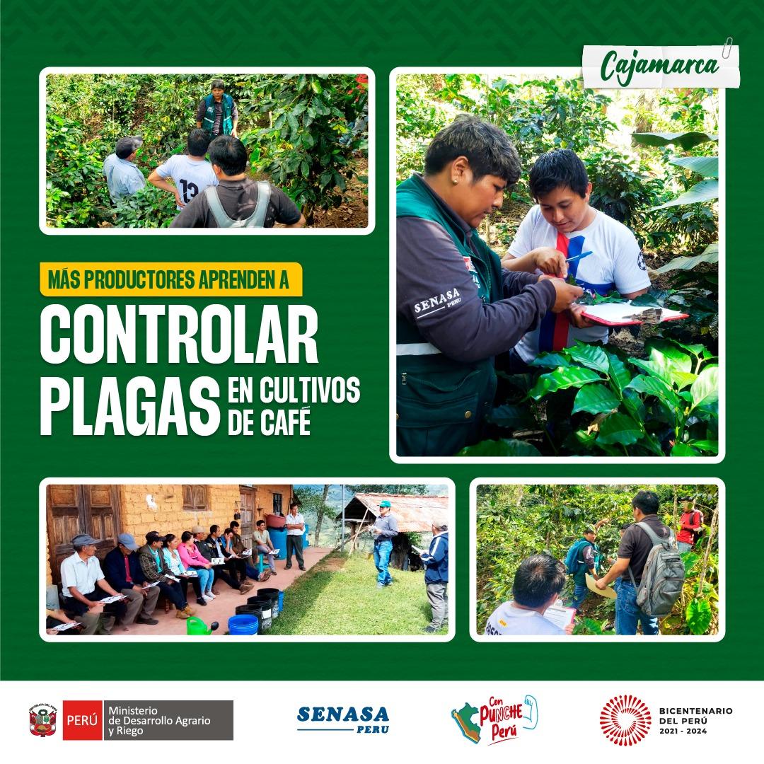 Midagri PerÚ On Twitter Rt Senasa Peru 💪🏽🇵🇪seguimos Trabajando